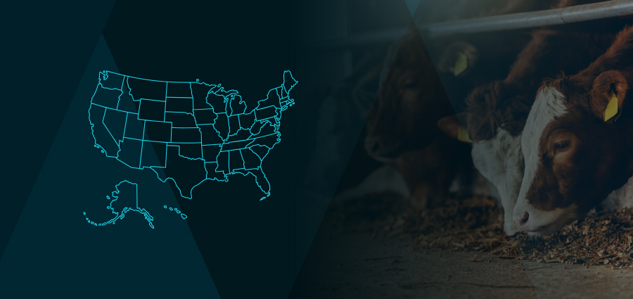 Rokstone planting the seed of US success | Rokstone Underwriting